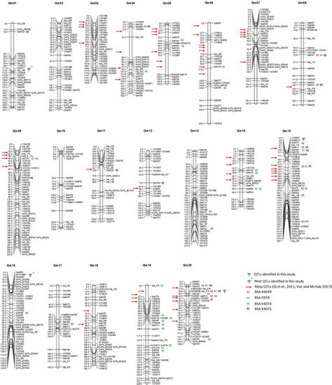 Recombination Map For The X4050 Ril Population Qtls And Near Qtls