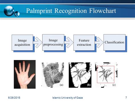 palmprint identification system ppt video online download