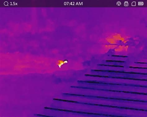 Playing Around With One Of Narlas New Toys This Weekend We Have Invested In A Thermal Imaging