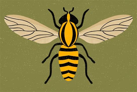 Bugs Skillshare Babe Project