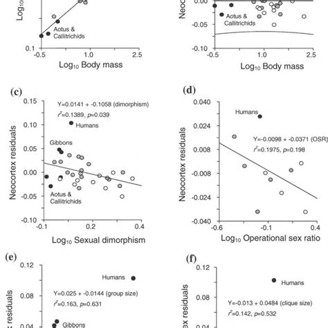 bivariate plots describing a regression of the log10 values of