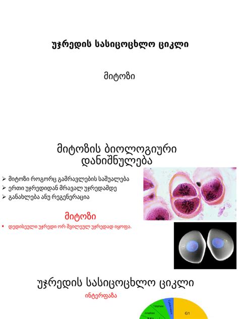 უჯრედის სასიცოცხლო ციკლი Pdf