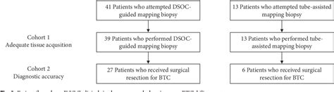 Figure 2 From Comparison Of Tube Assisted Mapping Biopsy With Digital Single Operator Peroral