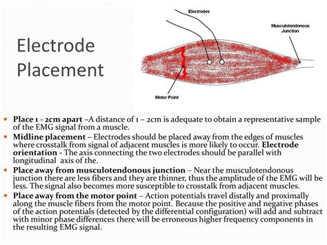 Ppt Electromyography Powerpoint Presentation Free Download Id 1948900