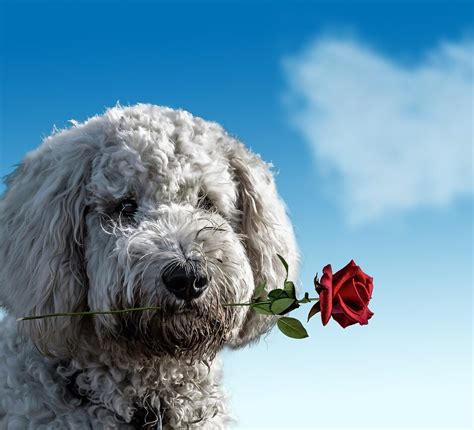 Sharepoint Best Practices Tips And Tricks Sharepoint Maven