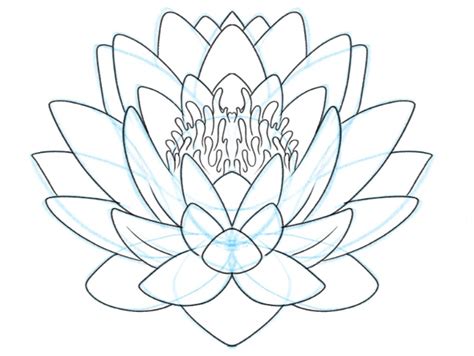 Lotus Flower Sketch Drawing How To Draw Beautiful Lotus Flower With