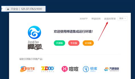禅道附录2 如何访问禅道数据库 禅道数据库怎么打开 csdn博客