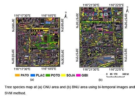 Remote Sensing Free Full Text Object Based Urban Tree Species Classification Using Bi