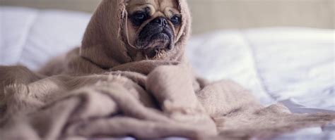 Richard Oliver Bray Dev Community