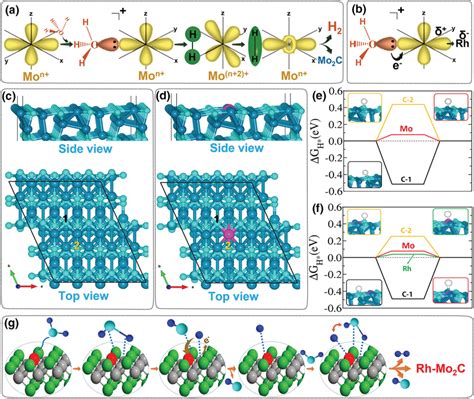 A Schematic Illustration Showing The Proposed HER Reaction Mechanism Download Scientific