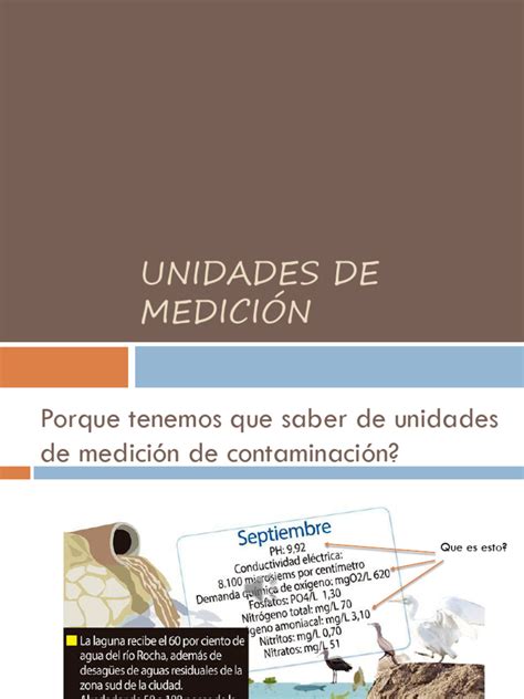 Unidades De Medicion Clase 1 Pdf