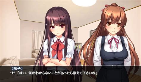 おすすめ作品 ”妹快楽堕ち～お兄ちゃんに無理やりハメられてから～” エロゲーマー Ero Gamer