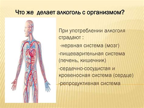 Влияние алкоголя на здоровье пожилых людей презентация онлайн