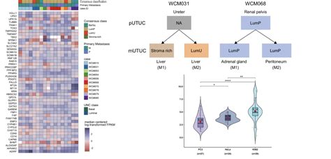 Ggplot2优雅绘制半边箱线图 腾讯云开发者社区 腾讯云
