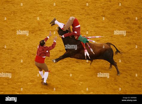 Portuguese Bullfighters Hi Res Stock Photography And Images Alamy