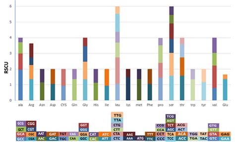 relative synonymous codon usage rscu of the mitochondrial