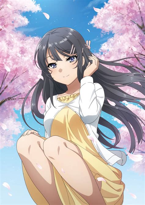 [100 ] Mai Sakurajima Backgrounds