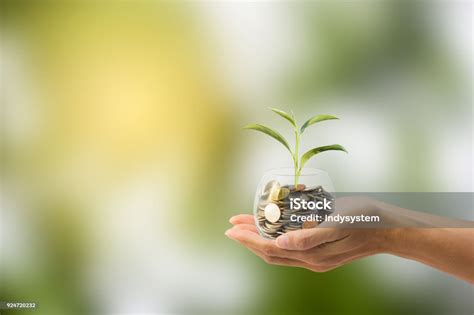절약 투자 개념입니다 성장 배경으로 녹색 자연과 나무와 유리 항아리에 동전을 들고 손 개념은 미래에 대 한 비용을 절감 저축에 대한 스톡 사진 및 기타 이미지 Istock