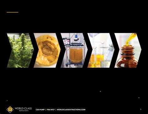 World Class Extractions Investor Presentation Ppt