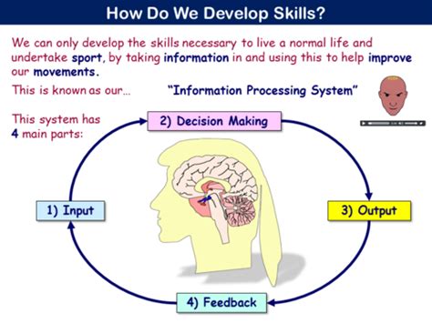 Pe502st Acquisition Of Skills Input Decision Making Output