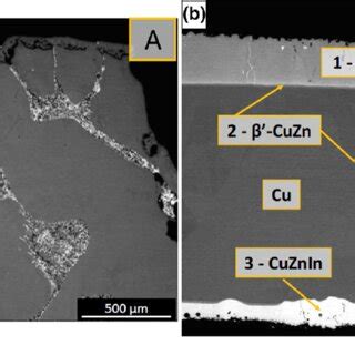 The Microstructure Of The Cu Zn In Diffusion Triples In The S II System Download Scientific