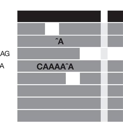 of genetic mutations showing the allele frequencies of cfdna
