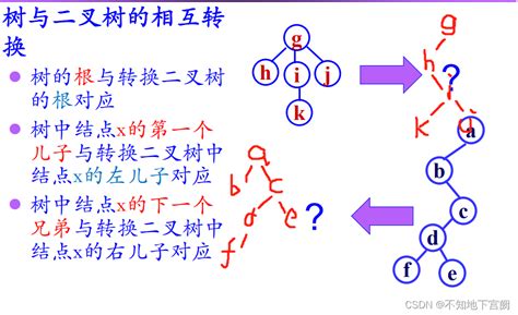 数据结构与算法复习6 数据结构中什么叫真子孙 csdn博客