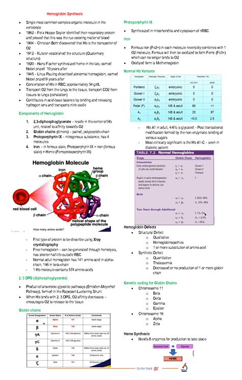 SOLUTION Hemoglobin Synthesis Studypool