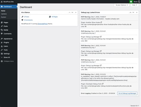 Debug Log Manager Wordpress Plugin