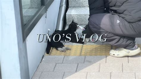 Vlog 대학교 3학년의 개강 초 브이로그 • 토익 공부 • 블로에서 프리미어 프로로 편집 프로그램 바꾸기 • 소소한 일상