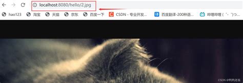 Java Springboot2的静态资源访问springboot Test文件夹下访问静态资源路径 Csdn博客