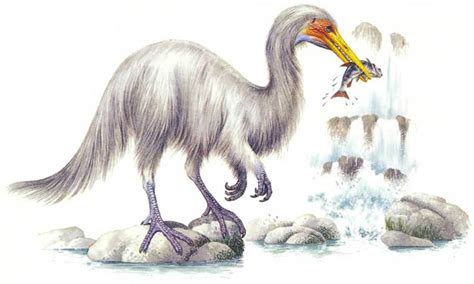 Dip Speculative Evolution Wiki Fandom Dip Speculative Evolution Wiki Fandom