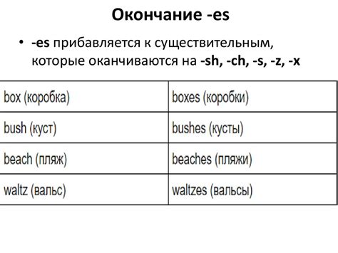 Образование множественного числа в английском языке презентация онлайн