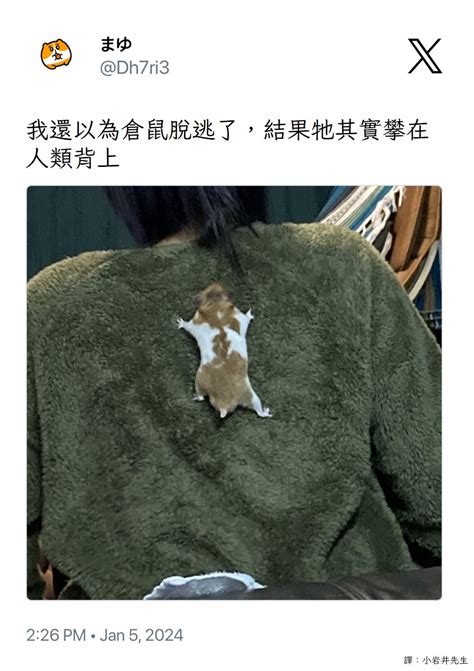 日本推特翻譯 Ep269