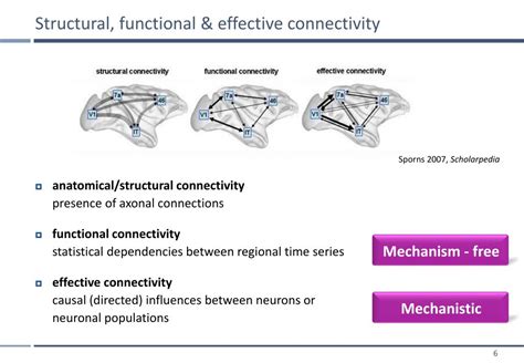 Ppt Dynamic Causal Modelling For Fmri Powerpoint Presentation Free Download Id1574922