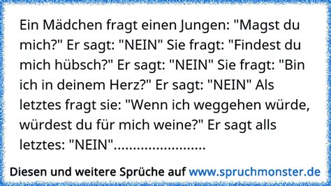 Das Mädchen Fragt Den Jungen Magsd Du Michder Junge Antwortet Nein