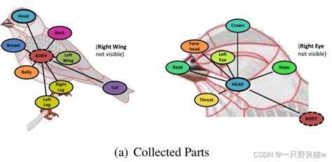 the caltech ucsd birds 200 2011 dataset csdn博客