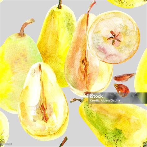 신선하게 익은 노란 꿀 배 열매의 모양입니다 손으로 그린 수채화 그림입니다 나무에서 익은 맛있는 향기로운 과일 라벨 키친 타월 냅킨 식탁보에 사용 가득 찬에 대한 스톡 벡터
