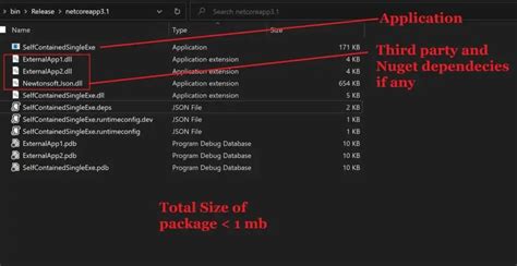 Self Contained Vs Framework Dependent Deployment Guidelines