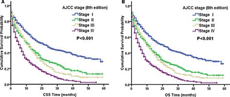 Macroscopic Types Of Intrahepatic Cholangiocarcinoma And The Eighth Edition Of Ajcc Uicc Tnm
