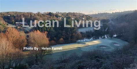 Lucan Living Hi Does Anyone Know If Its Possible To Get A Roller