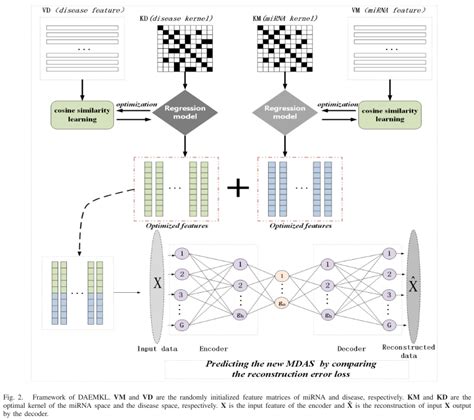 daemkl：基于多核学习的深度自动编码器预测mirna与疾病的关联（ieee transactions on neural networks