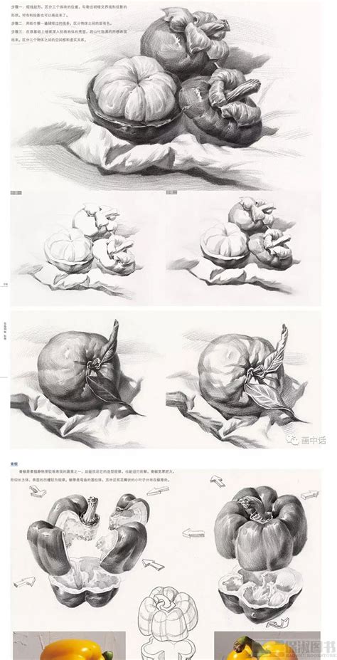 素描临本入门适合初学者临摹的素描素描初学临摹第5页大山谷图库