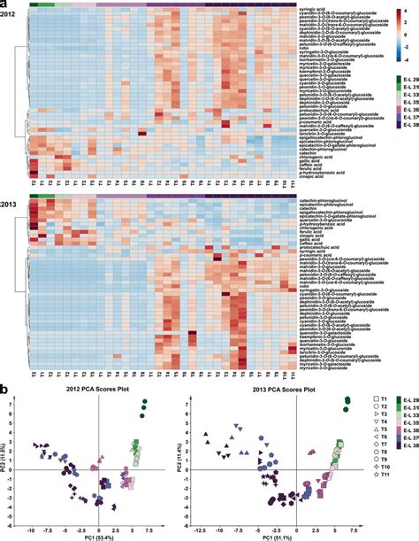 Heatmap Visualization Of Hierarchical Clustering Analysis B And Score