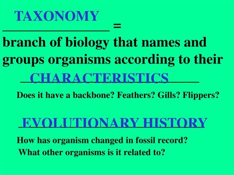Ppt Classification Of Living Things Chapter Powerpoint