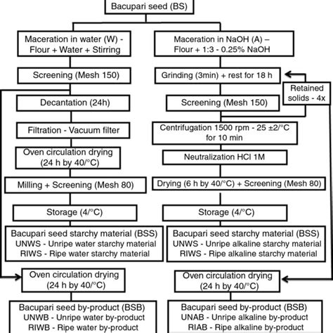 Flowchart Of The Isolation Of Starchy Material Obtained From Bacupari