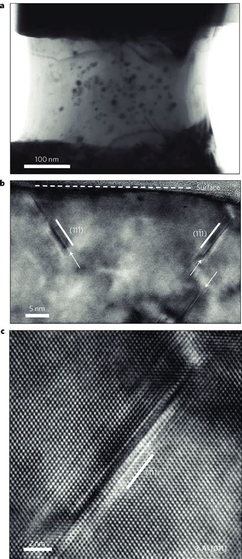 Dislocation Loops Formed During Tensile Loading A Tem Image Showing