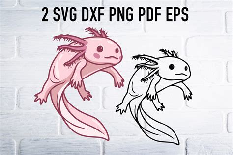 Axolotl Svg Dxf Eps Axolotl Png Clipart Grafik Von Anny White