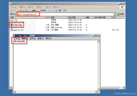 文件解析漏洞总结（iis，nginx，apache）iis解析漏洞 Csdn博客