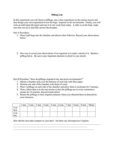 Pillbug Behavior Lab Report Assignment